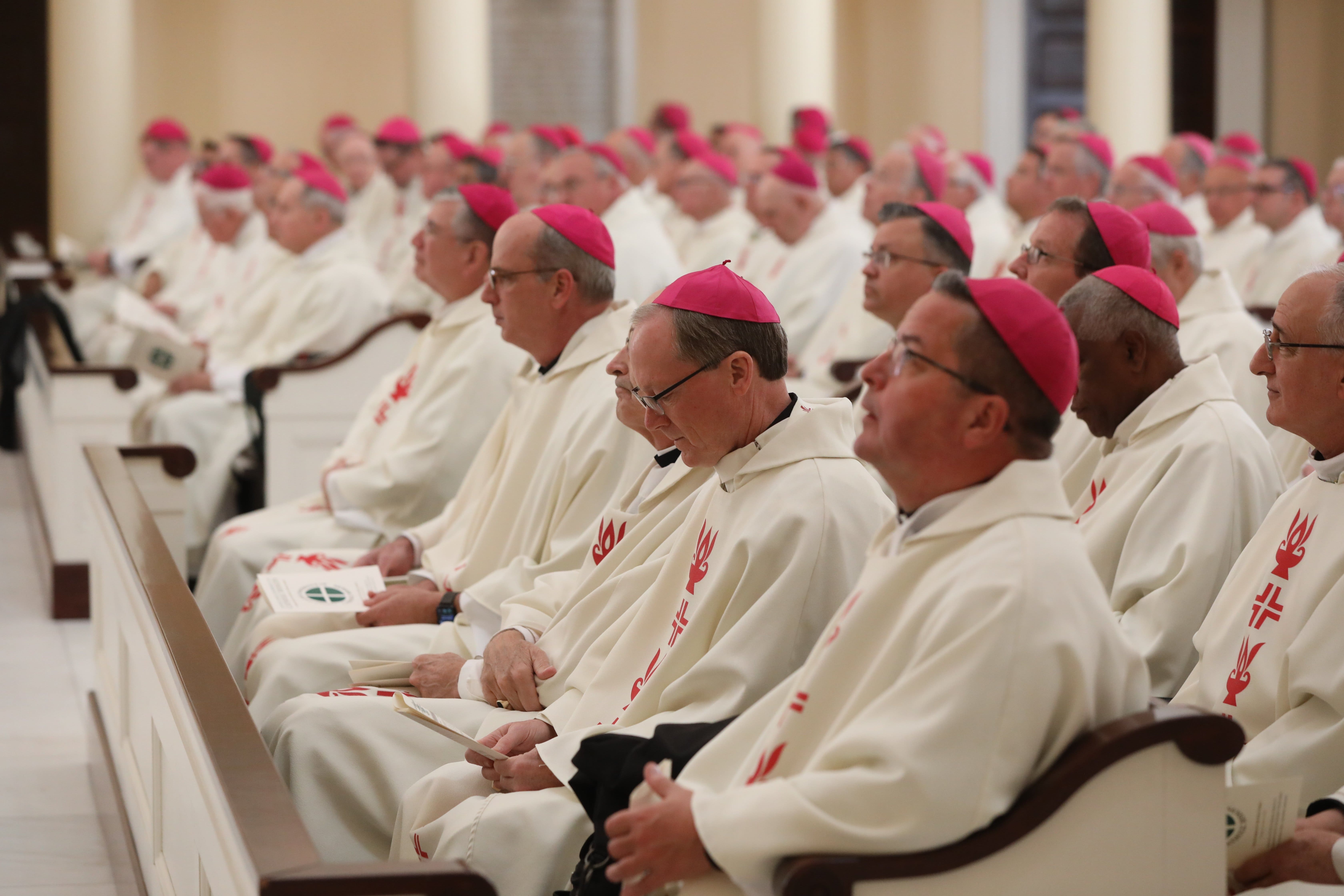 US bishops' meeting shows united front on mission but no clear synod ...
