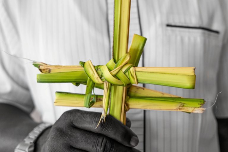 6 Palm Sunday traditions explained - Jersey Catholic